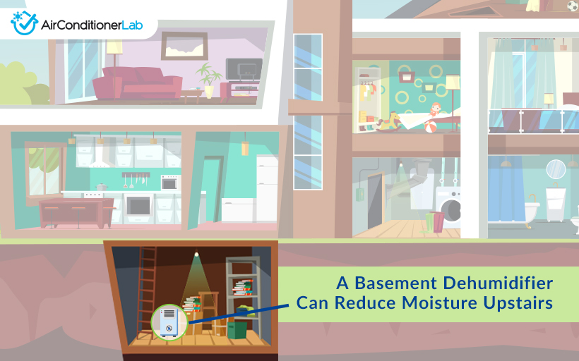 Ideal crawl space humidity level and how to maintain it